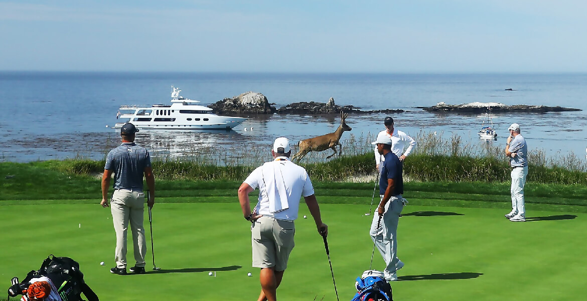Golf’s Ultimate Encounters with Nature - LINKS Magazine