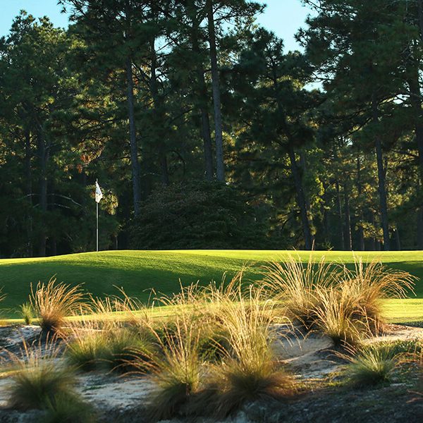 My 10 Favorite Golf Course Logos - LINKS Magazine